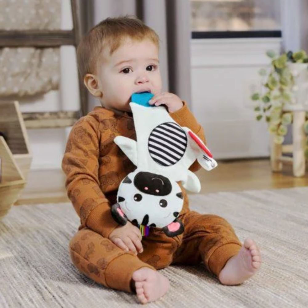 ZEN, A ZEBRA PELÚCIA SENSORIAL COM MORDEDOR - BABY EINSTEIN